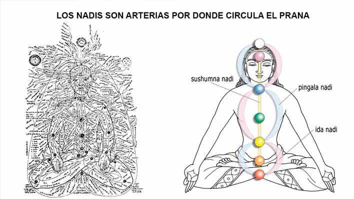 SOMOS ENERGÍA - LOS NADIS - Asociación Aprendiendo a Vivir